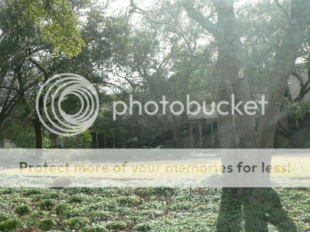 George W. Bush New Home in Dallas, Texas - CactiGuide.com