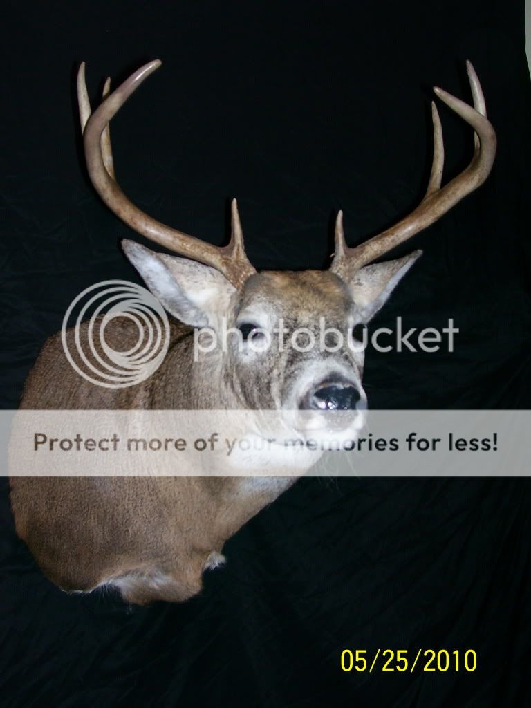 Joe Meder full sneak offset form..... | Archery Talk Forum